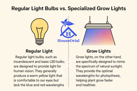 Can A Regular Light Bulb Help Plants Grow? Expert & Real Gardener ...