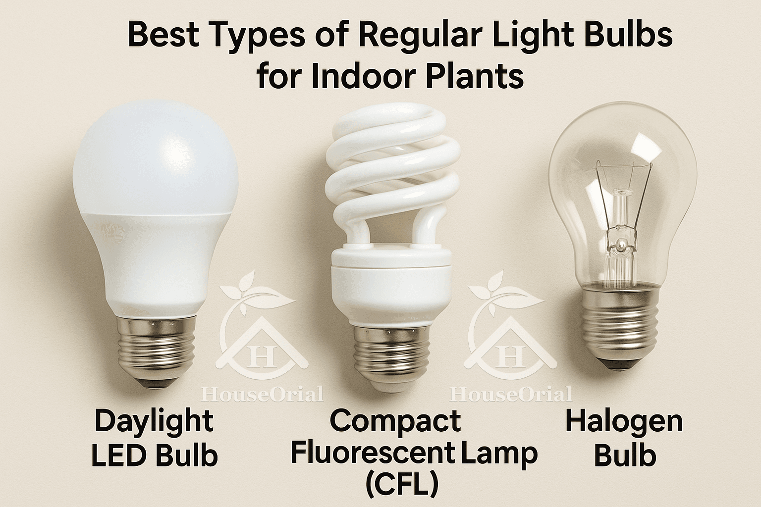 Can A Regular Light Bulb Help Plants Grow? Expert & Real Gardener ...