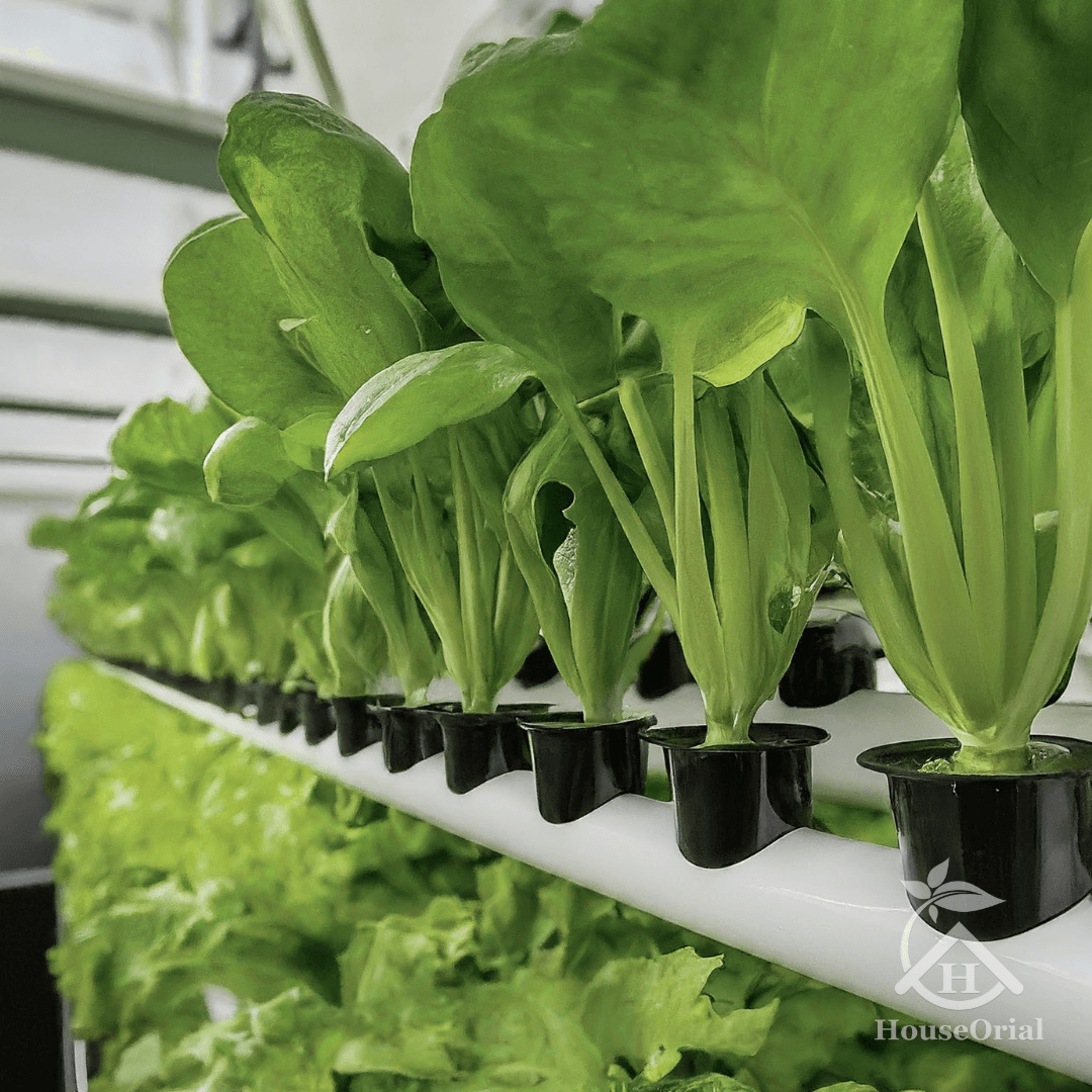 Hydroponics 101: Your Ultimate DIY Indoor Hydroponics Garden Blueprint ...