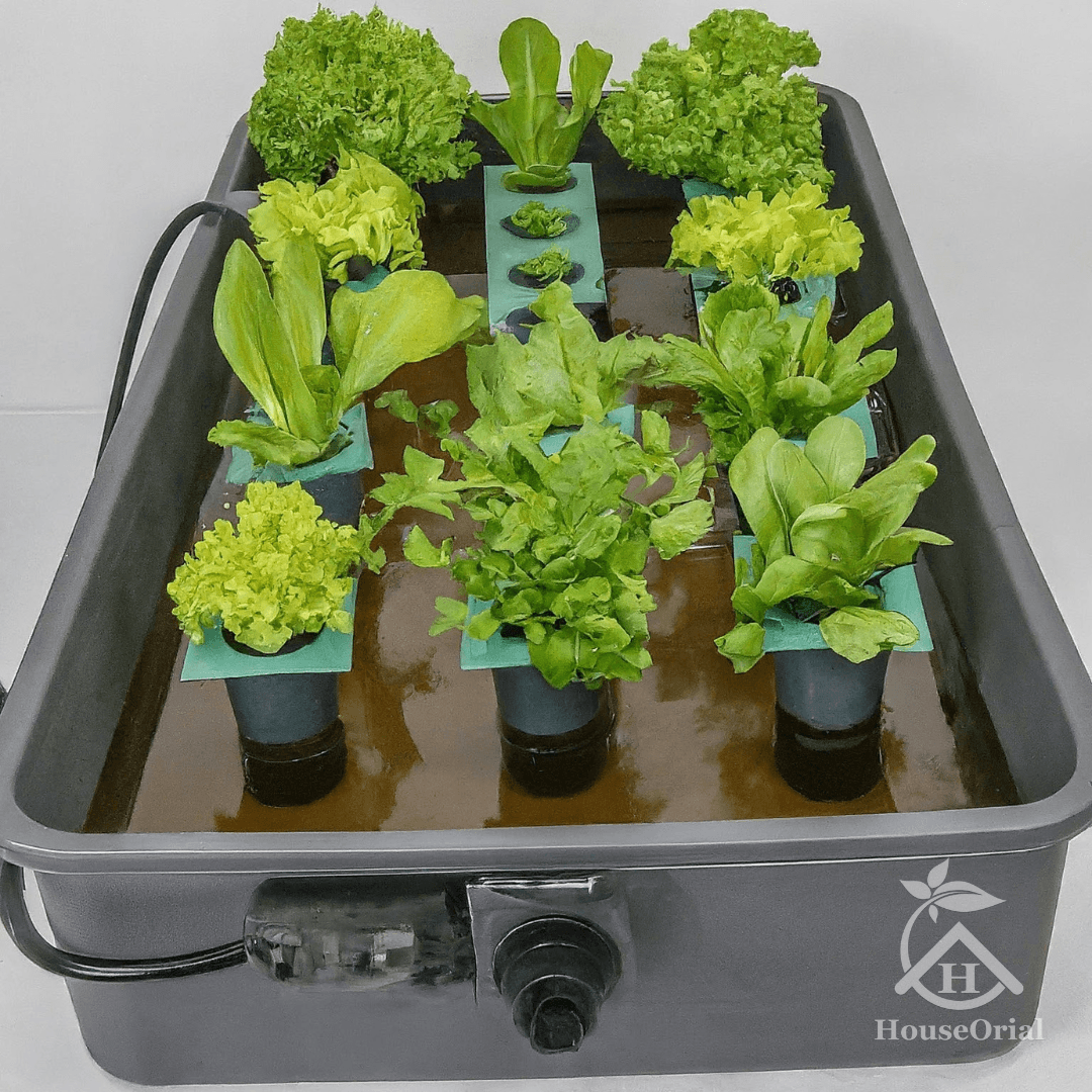 Hydroponics 101: Your Ultimate DIY Indoor Hydroponics Garden Blueprint ...