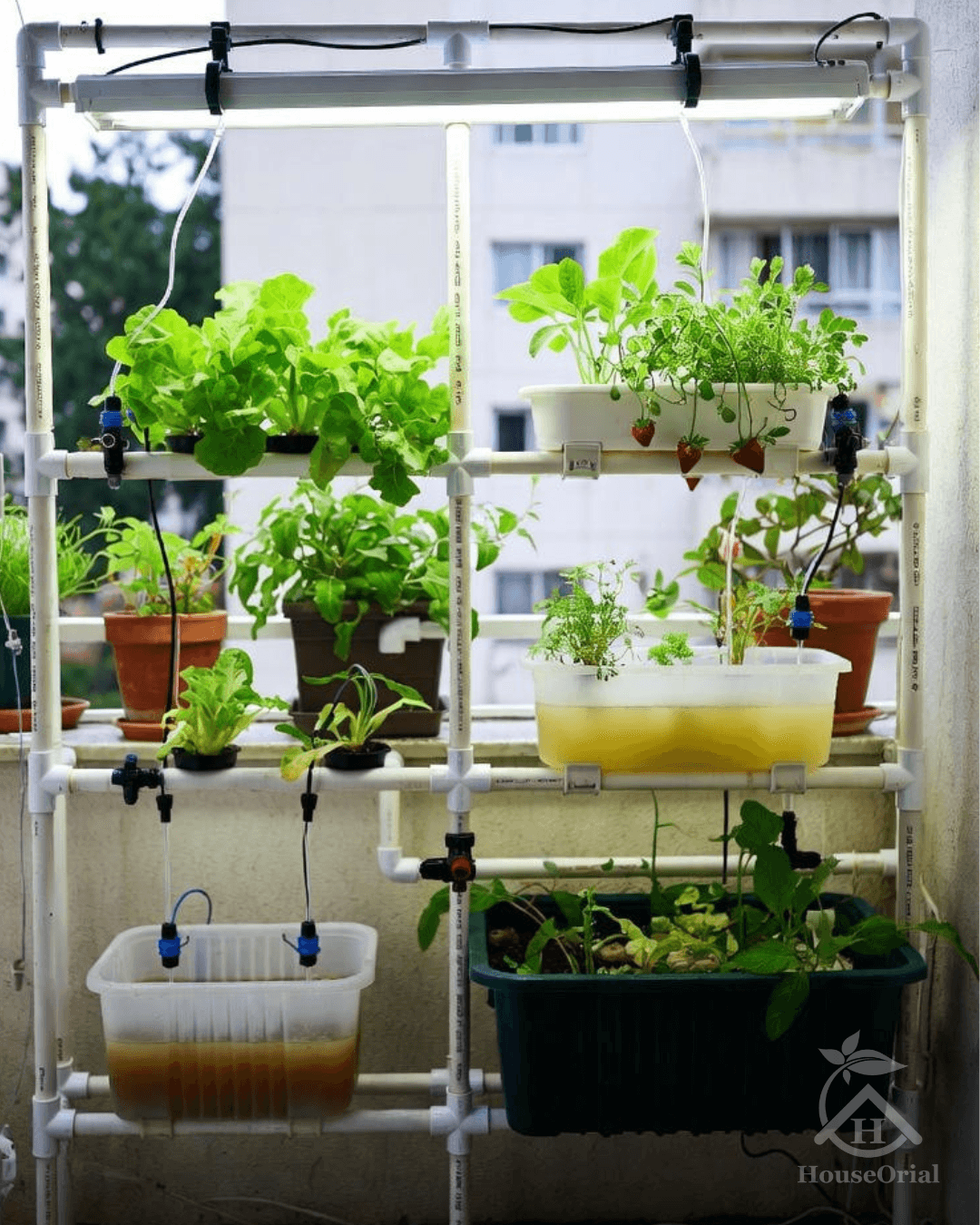 Hydroponics 101: Your Ultimate DIY Indoor Hydroponics Garden Blueprint ...